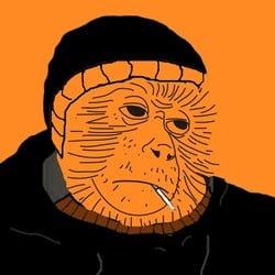 30 New and Upcoming Crypto Projects | AlphaGrowth